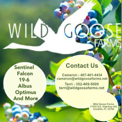 Florida Blueberry Growers Association